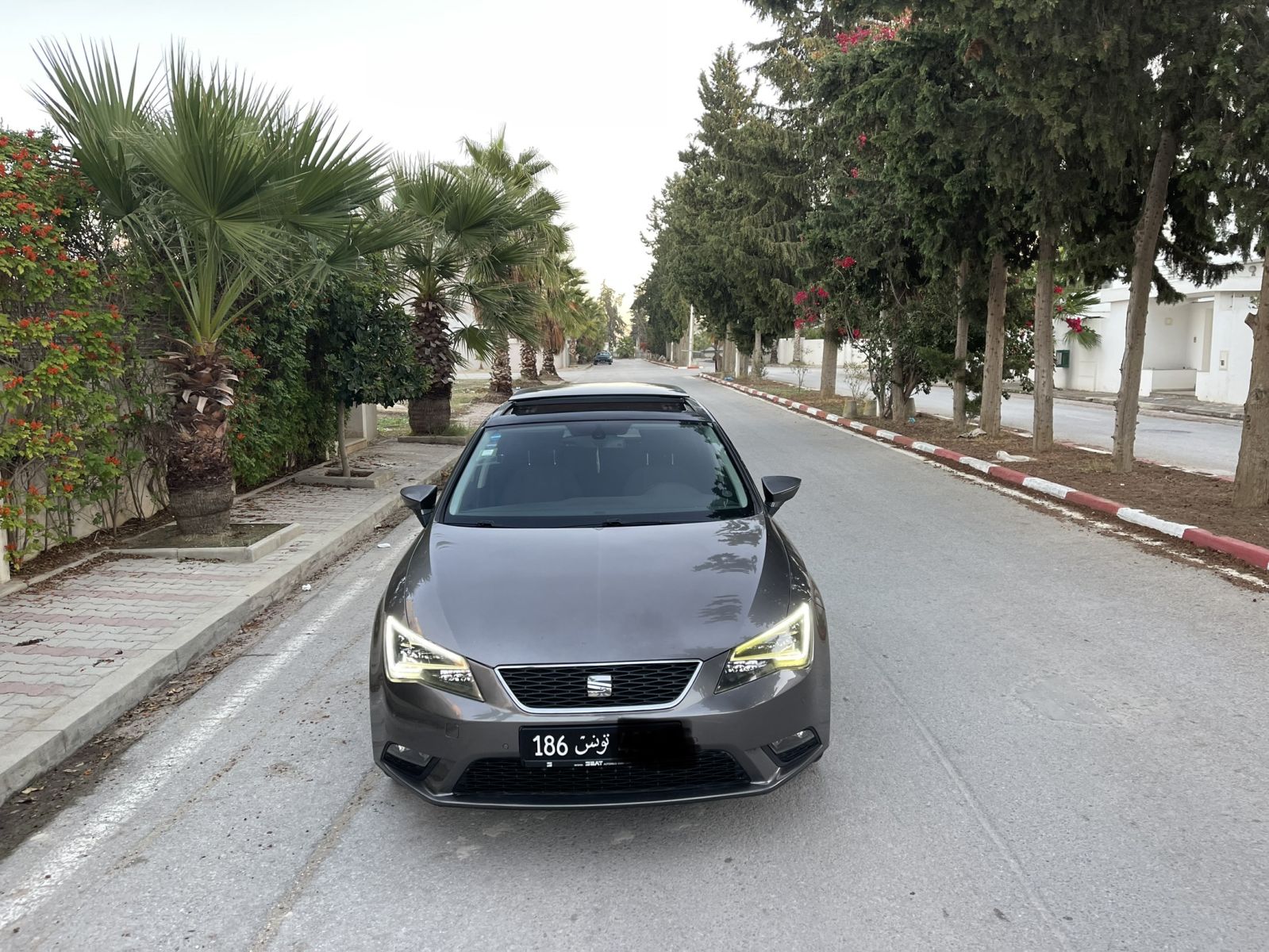 Annonce vente Seat Leon Style plus à Ariana